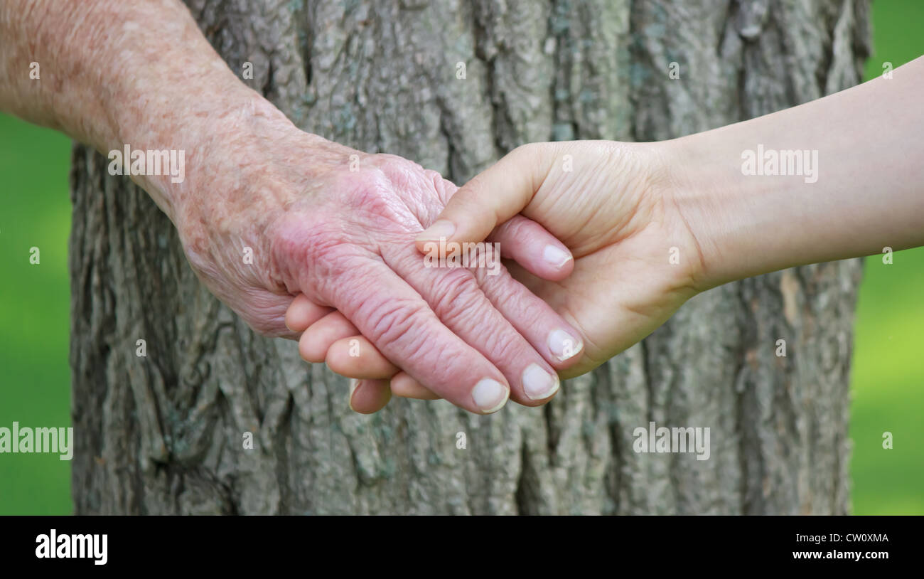 Senior Lady and Young Caretaker Holding Hands Stock Photo - Alamy
