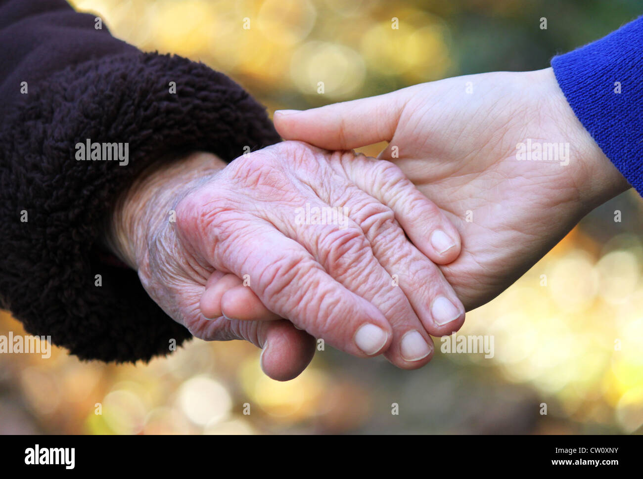Holding seniors hand in autumn Stock Photo - Alamy