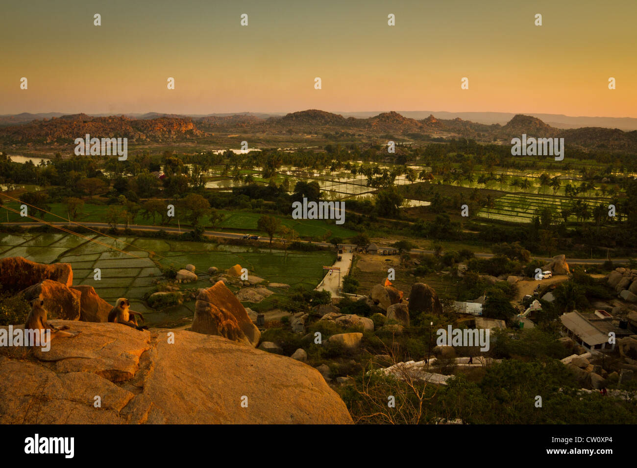 Monkeys watch the sunset from the Hanuman (Monkey) temple overlooking ...