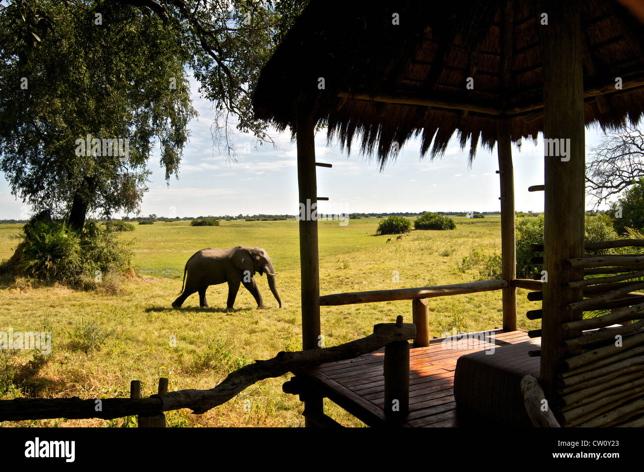 Elephant view hotel room hi-res stock photography and images - Alamy