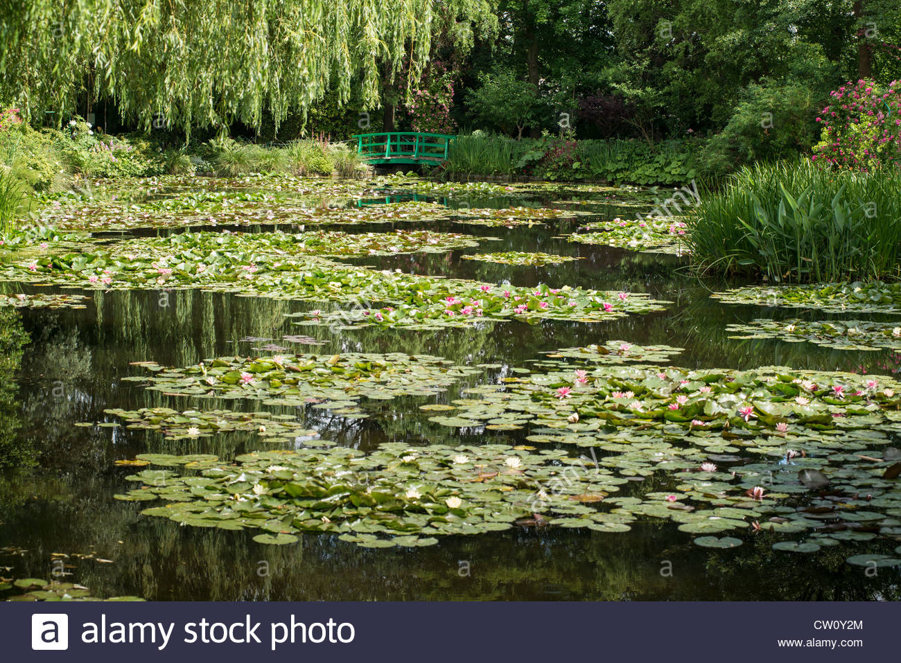 Monet's Garden Giverny Japanese Bridge High Resolution Stock ...
