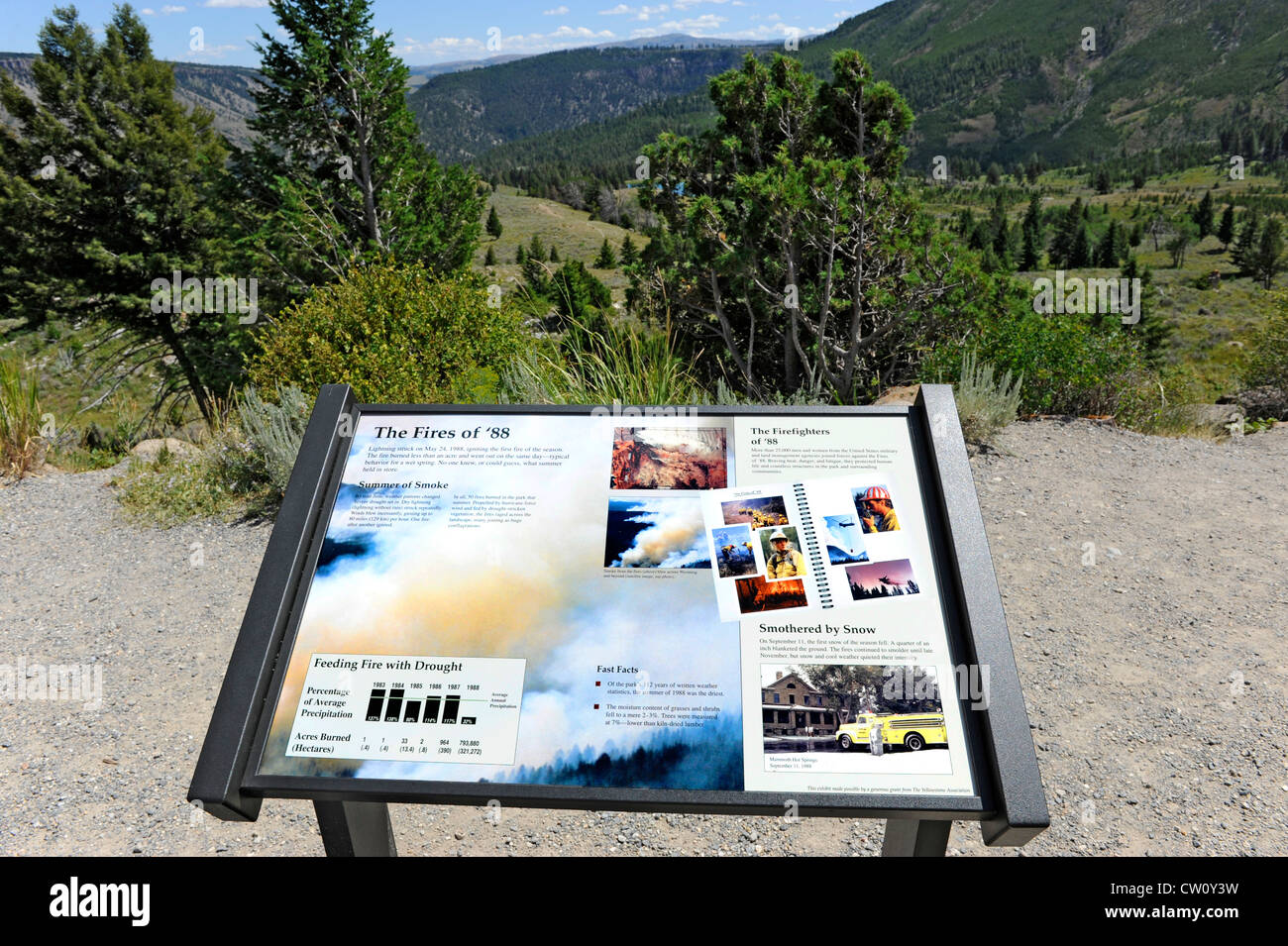 Landscape regrowth yellowstone national park hi-res stock photography ...