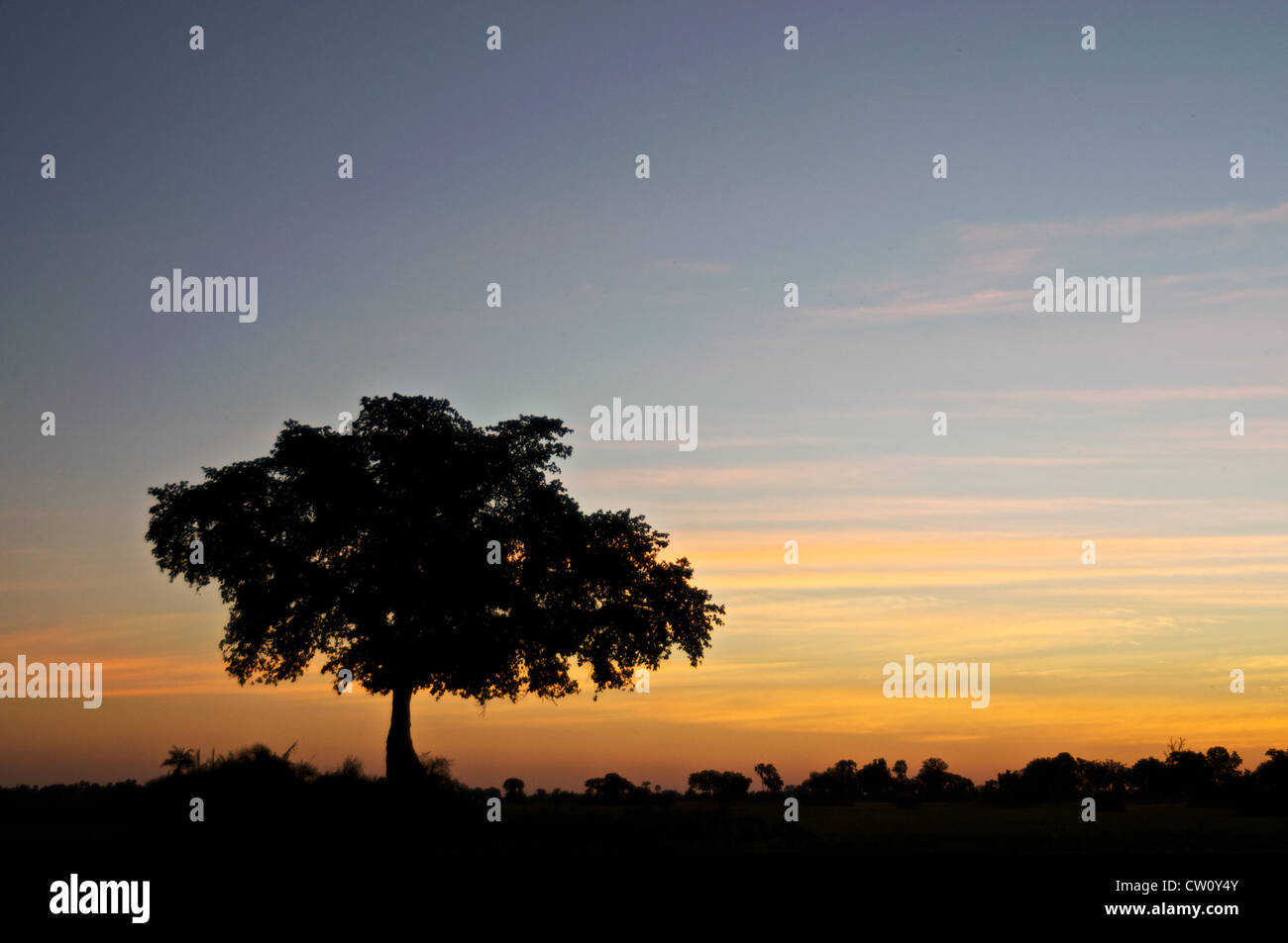 Sunset in Botswana, Africa Stock Photo - Alamy