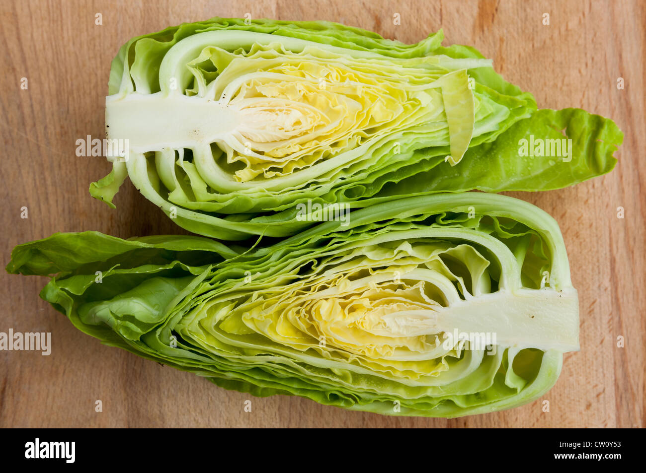 A sliced in half cabbage Stock Photo - Alamy
