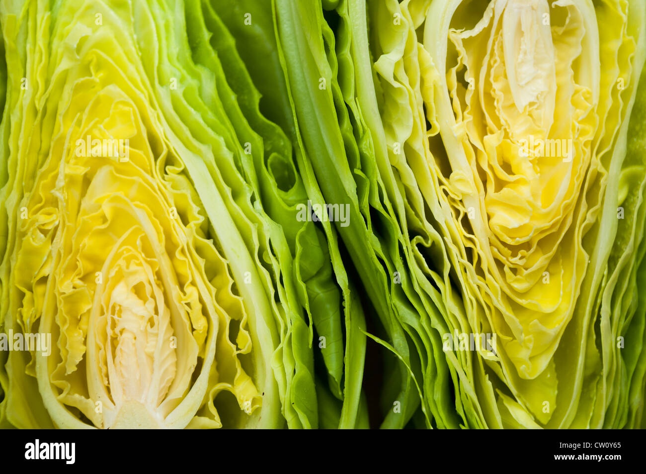 A sliced in half cabbage Stock Photo - Alamy
