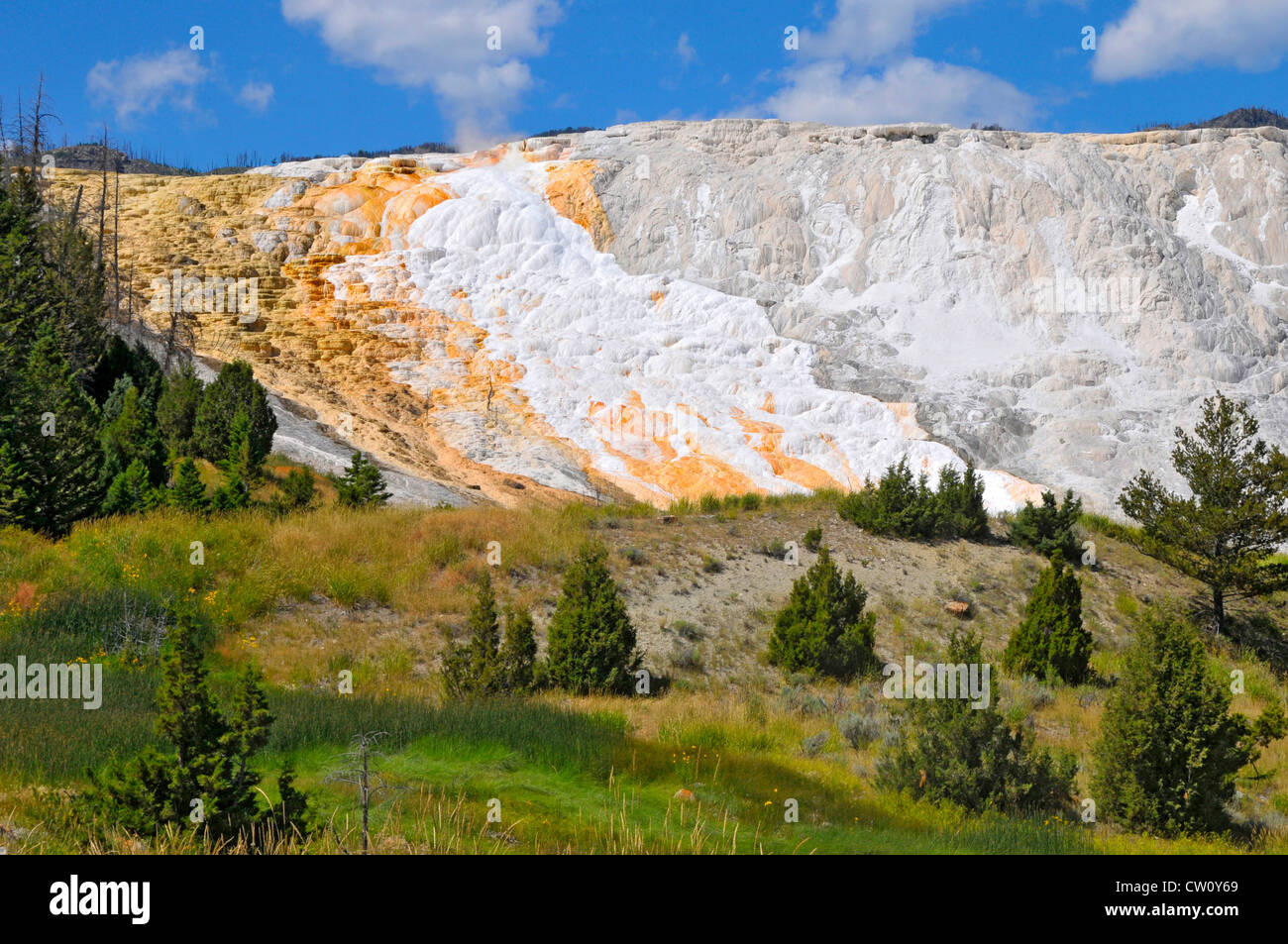 Mammoth Hot Springs Yellowstone National Park Wyoming, WY Stock Photo ...