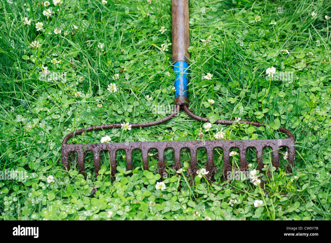 Metal garden tool lawn hi-res stock photography and images - Alamy