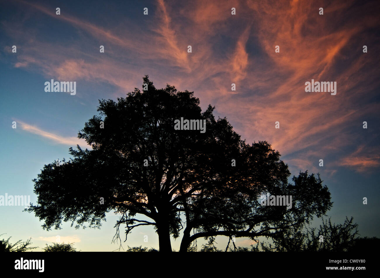 Africa pink sunset hi-res stock photography and images - Alamy