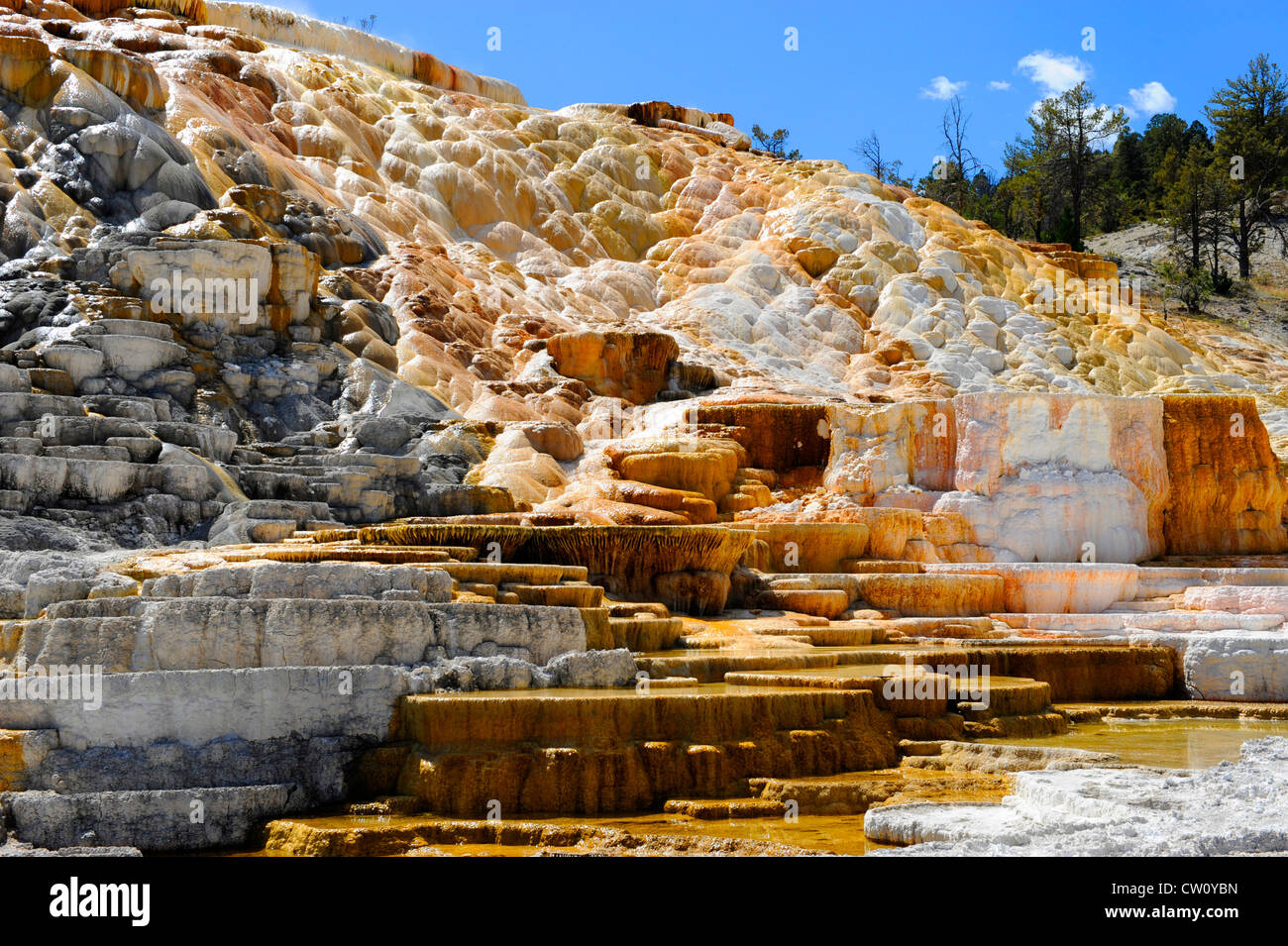 Acid pools yellowstone hi-res stock photography and images - Alamy