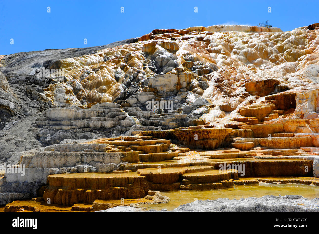 Acid pools yellowstone hi-res stock photography and images - Alamy