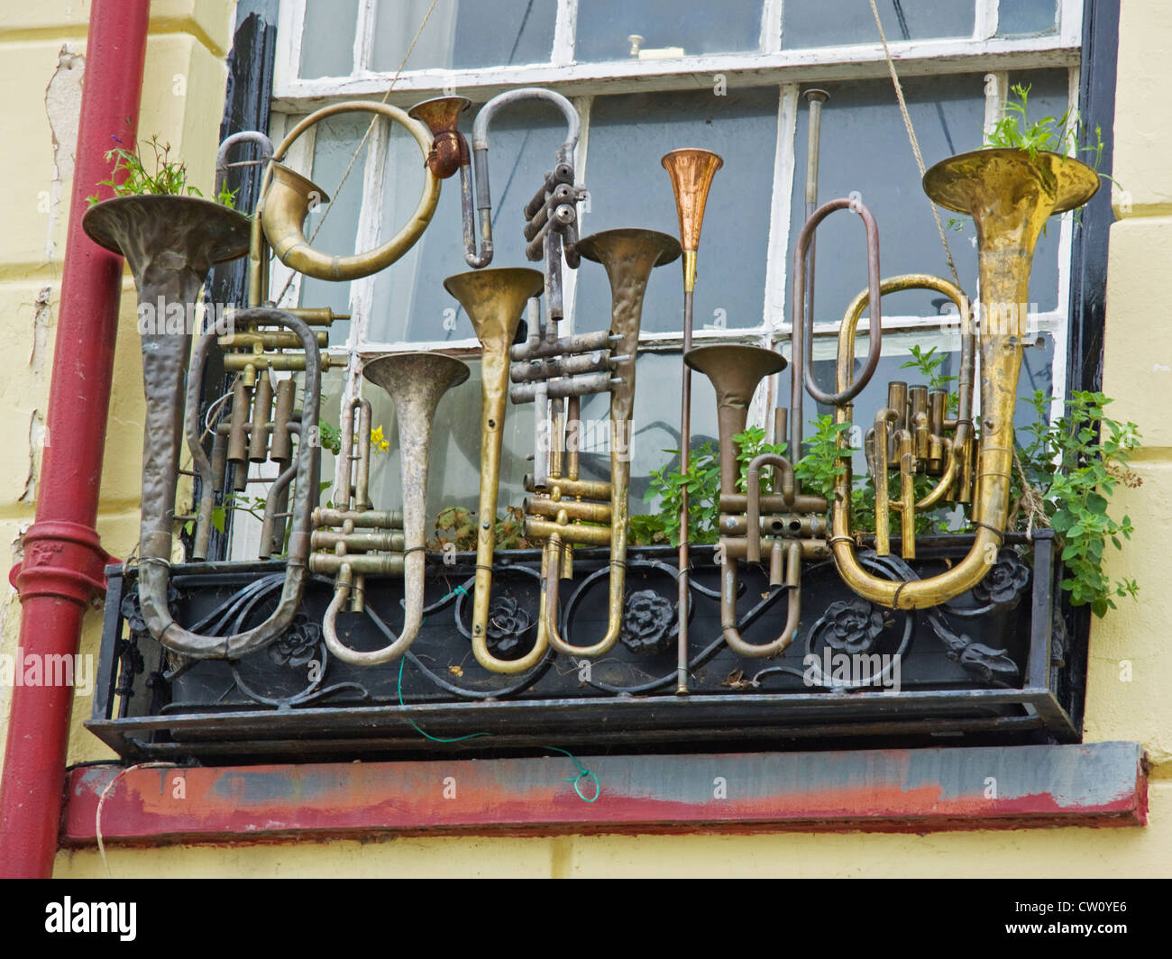 Brass Instruments Tuba High Resolution Stock Photography and Images - Alamy