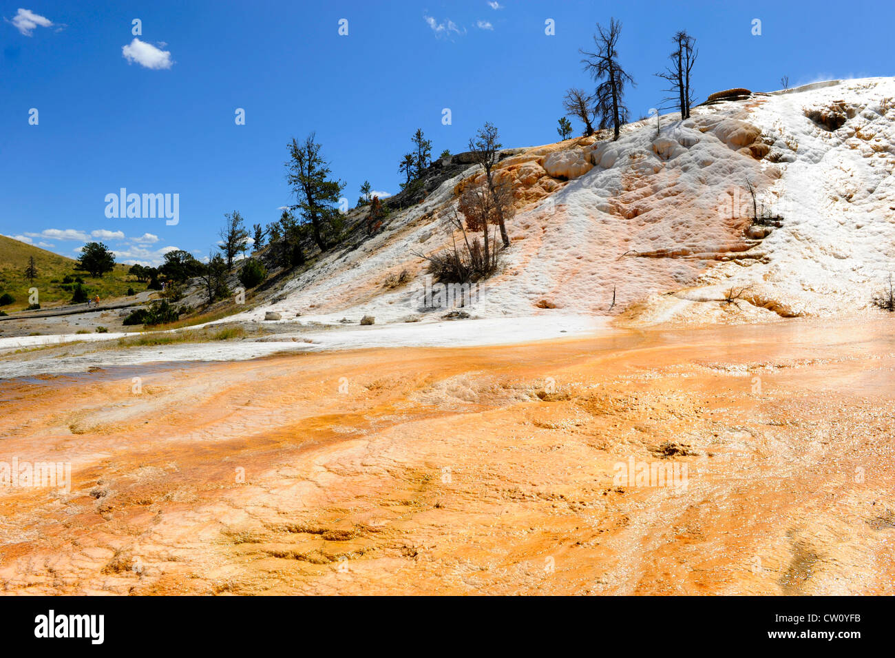 Acid pools yellowstone hi-res stock photography and images - Alamy