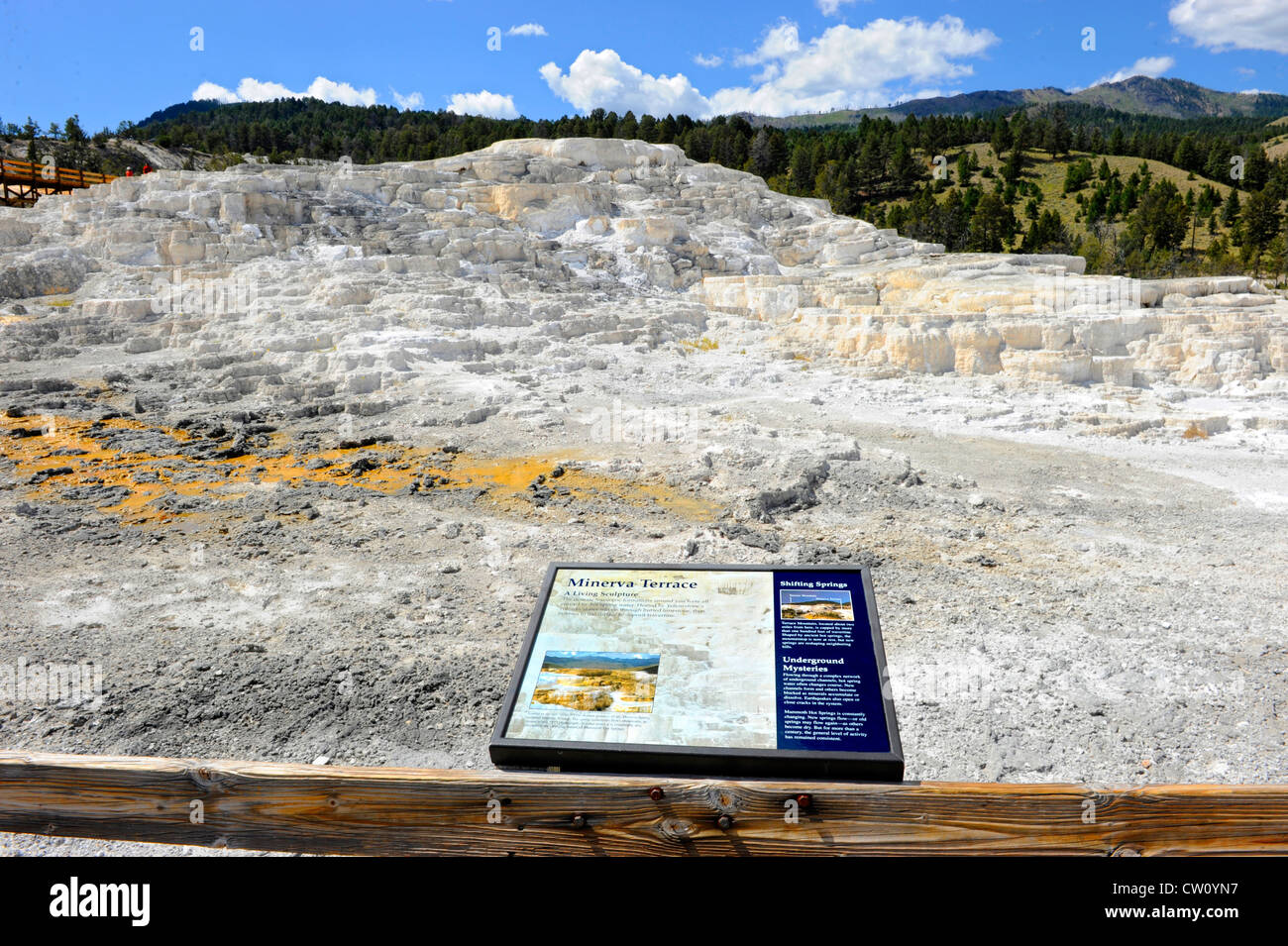 Minerva Terrace Mammoth Hot Springs Yellowstone National Park Wyoming ...