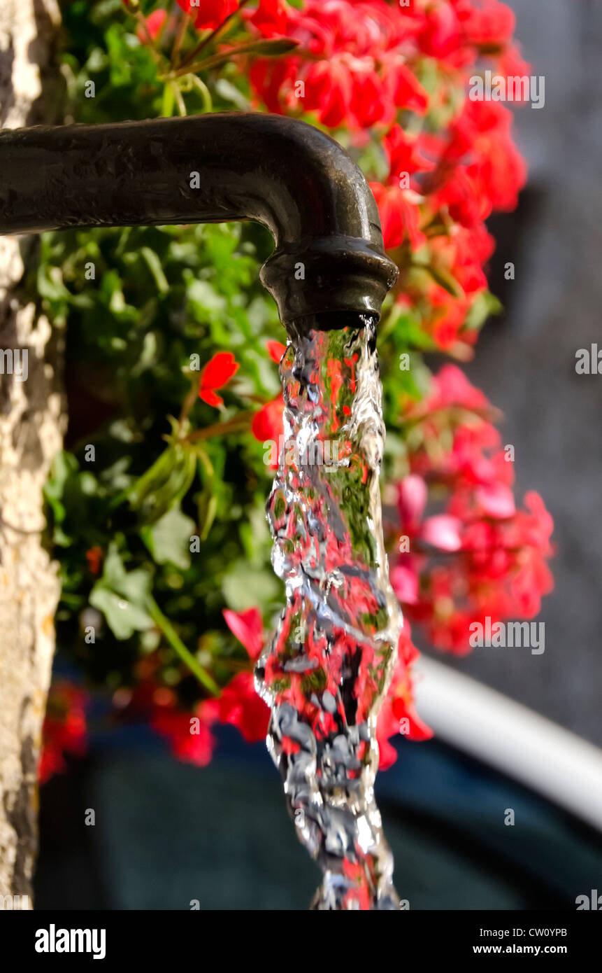 Tap water jet transparent and red geraniums Stock Photo - Alamy