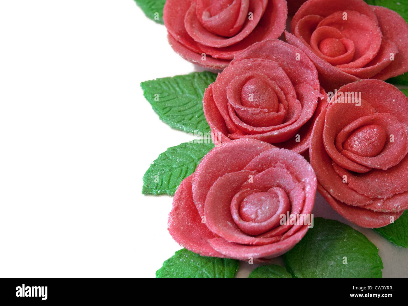 Decorative rose plant hi-res stock photography and images - Alamy