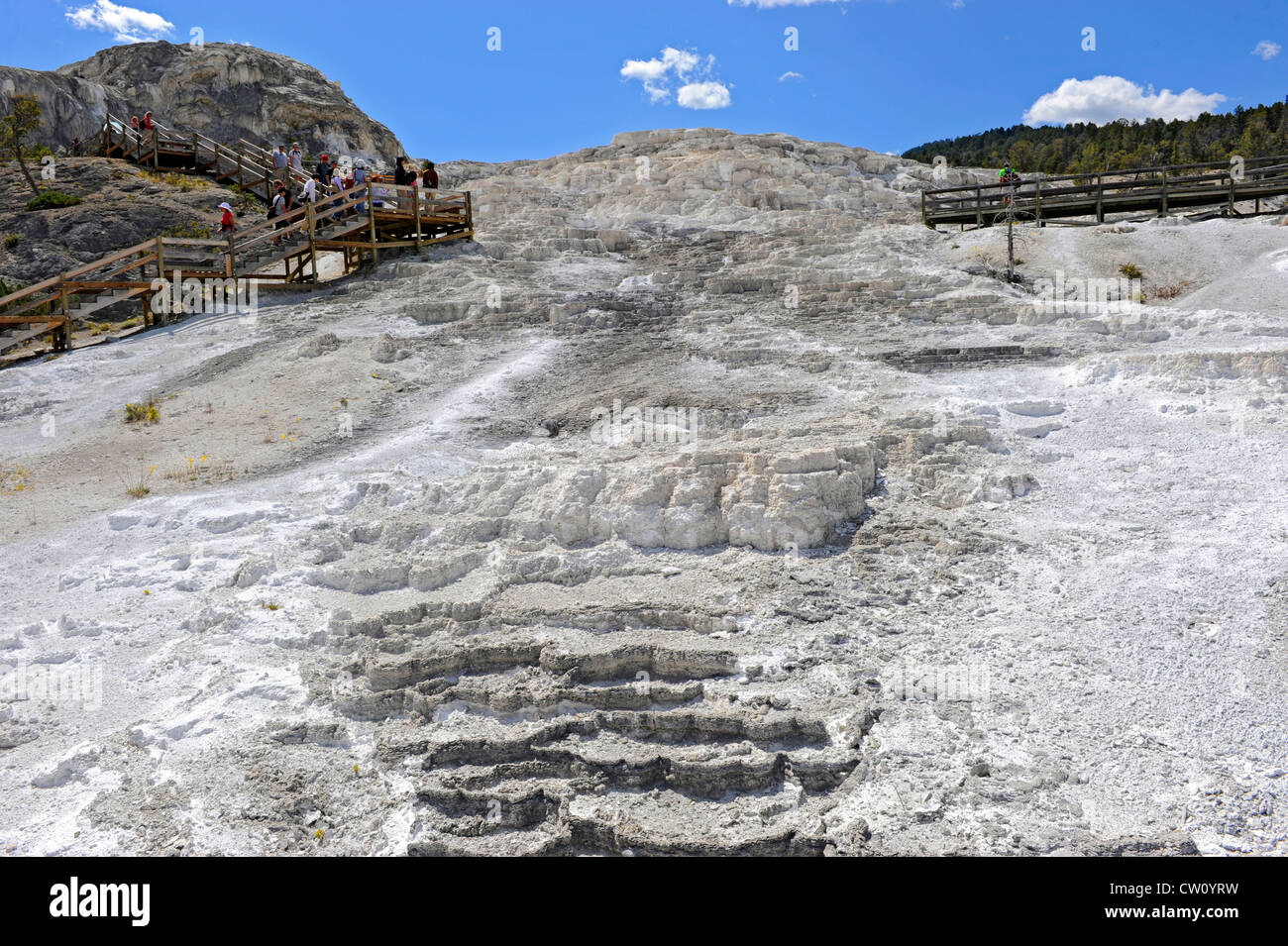 Minerva Terrace Mammoth Hot Springs Yellowstone National Park Wyoming ...