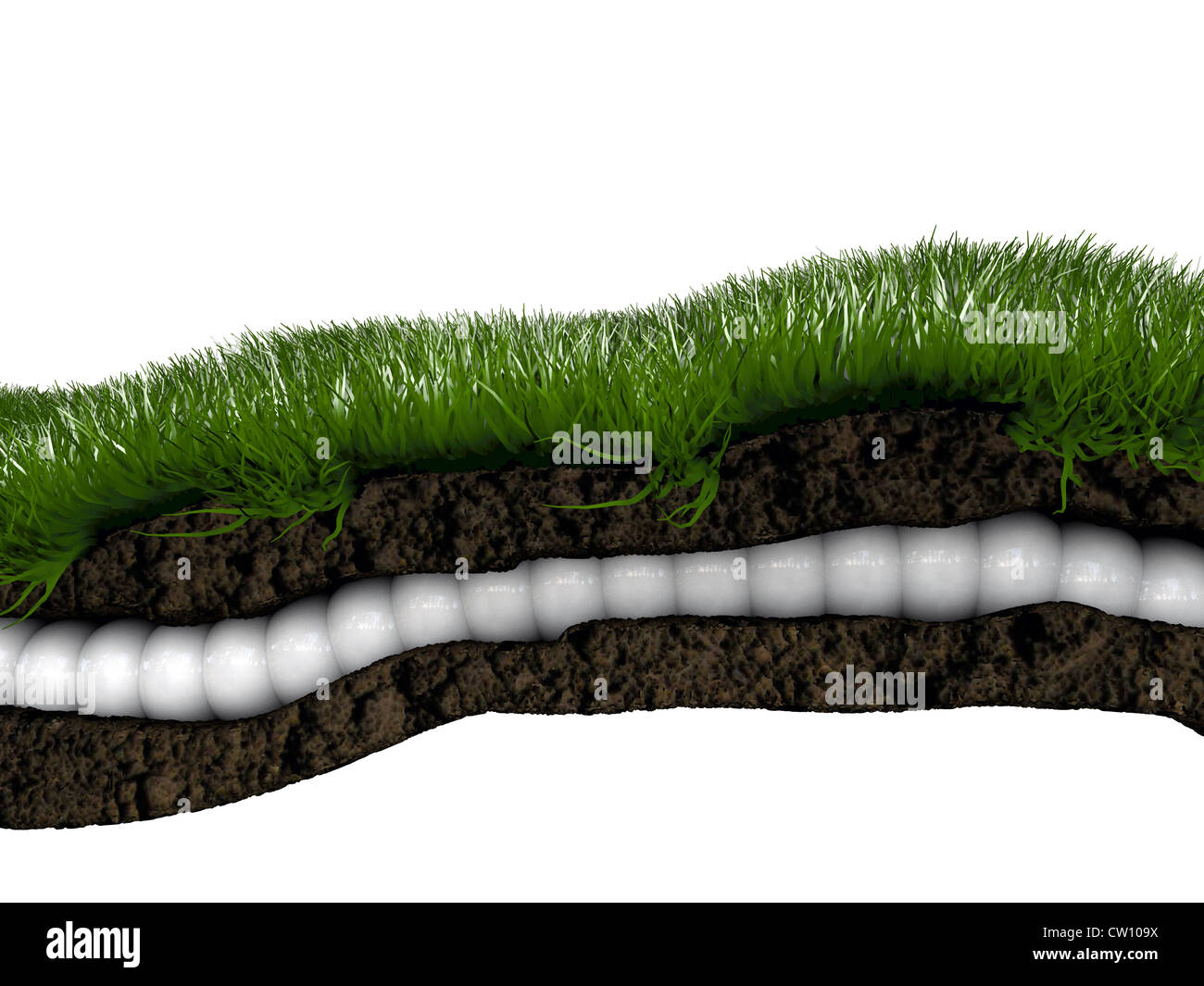 grass section isolated on white background Stock Photo - Alamy