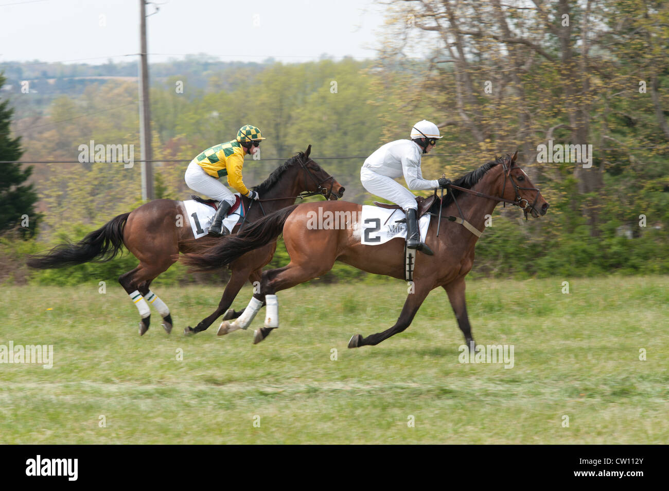 Equestrian horse competition hi-res stock photography and images - Alamy