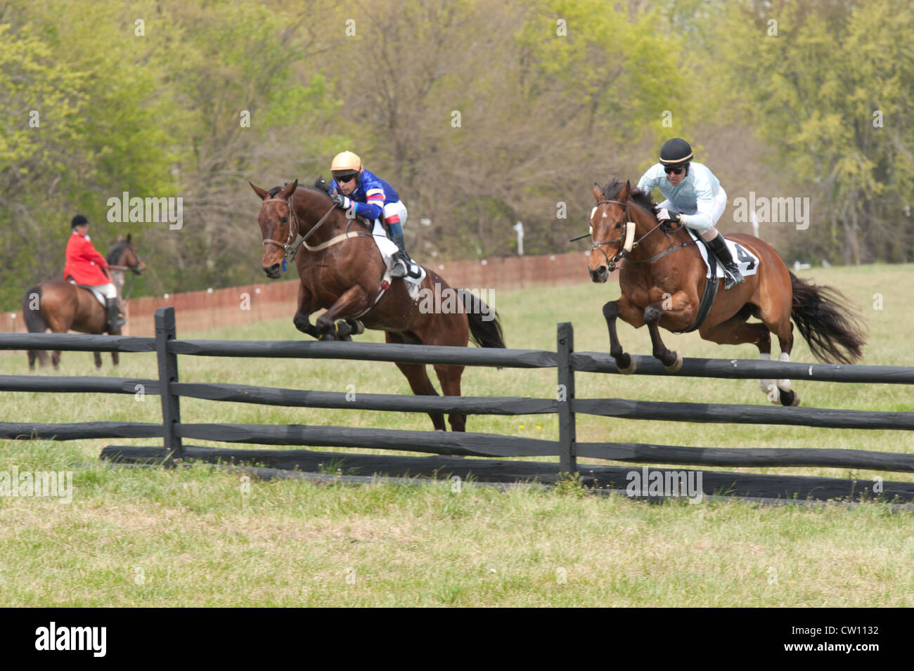 Equestrian horse competition hi-res stock photography and images - Alamy