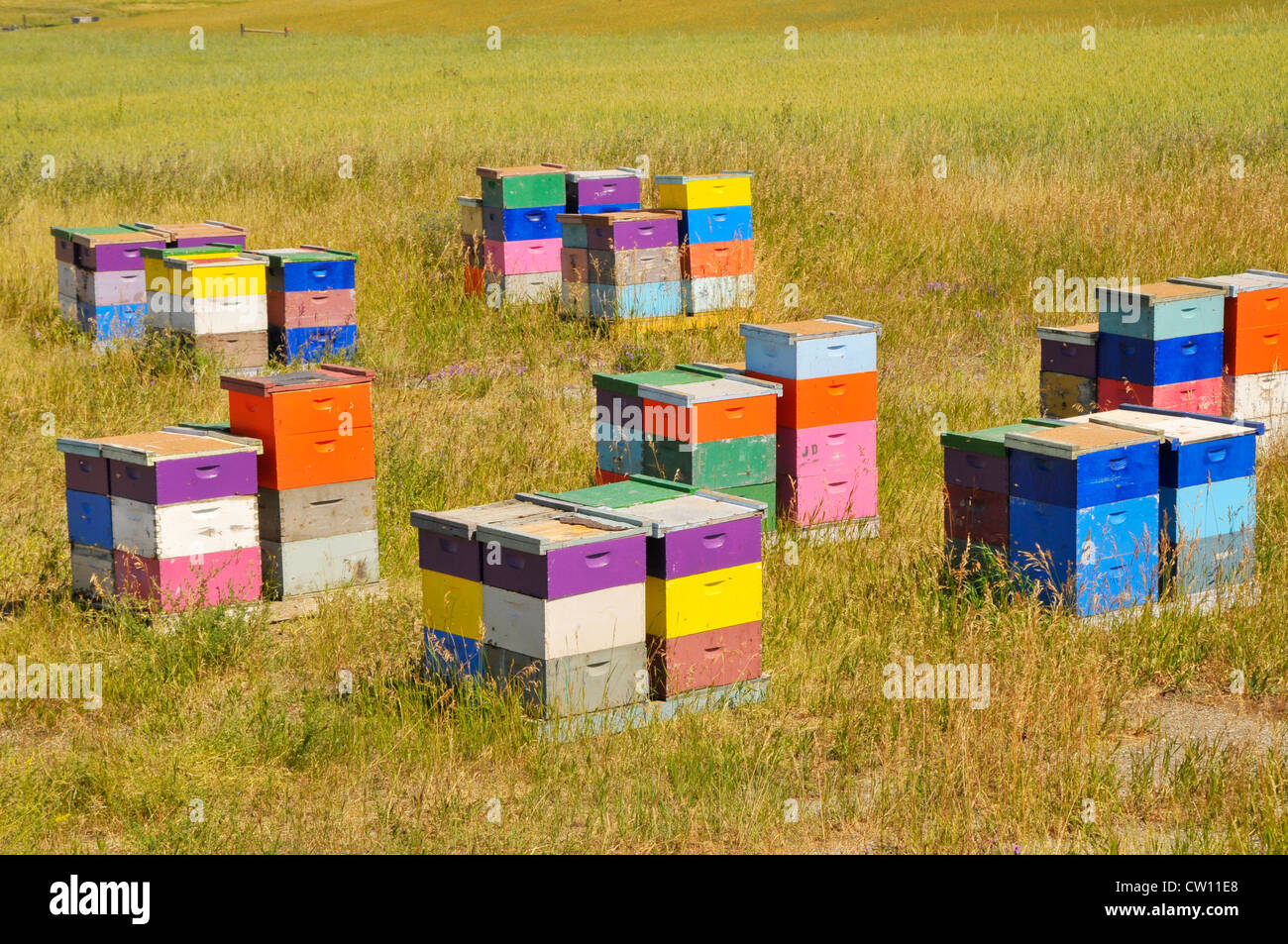 Colorful Honey Bee Boxes Montana MT US Stock Photo - Alamy Colorful Honey Bee Boxes Montana MT US Stock Photo - Alamy