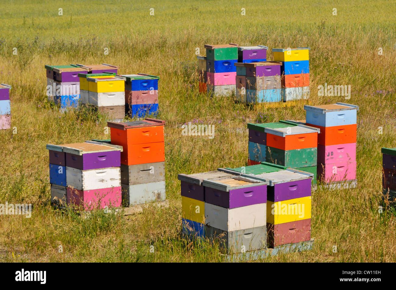 Native boxes hi-res stock photography and images - Alamy