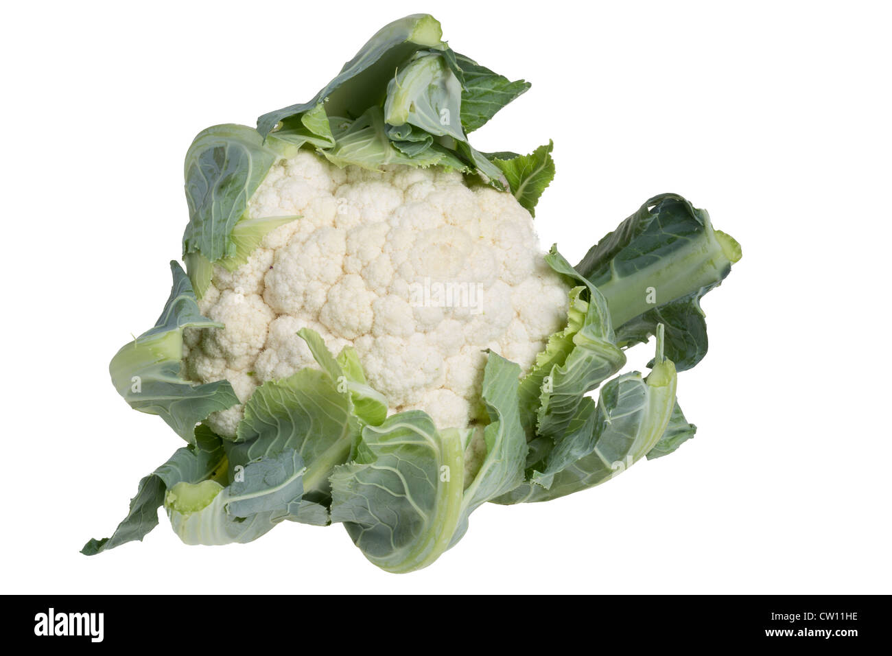 A head of fresh cauliflower isolated on white Stock Photo - Alamy