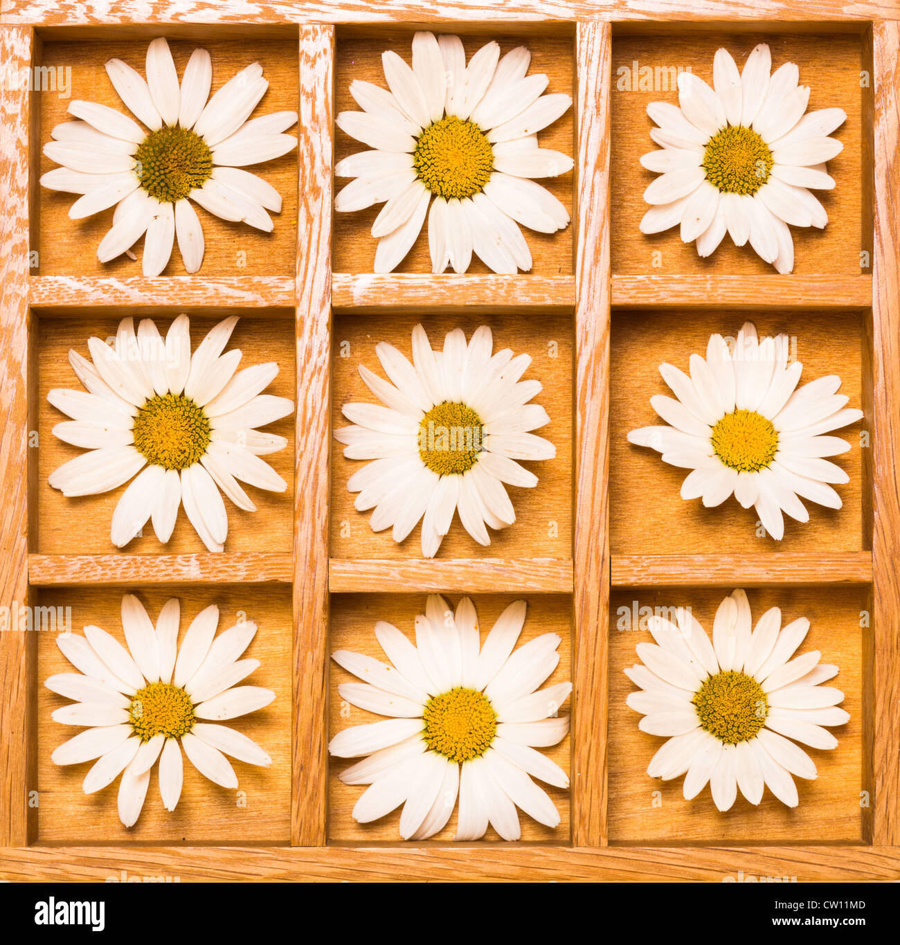 Shadow box display hi-res stock photography and images - Alamy