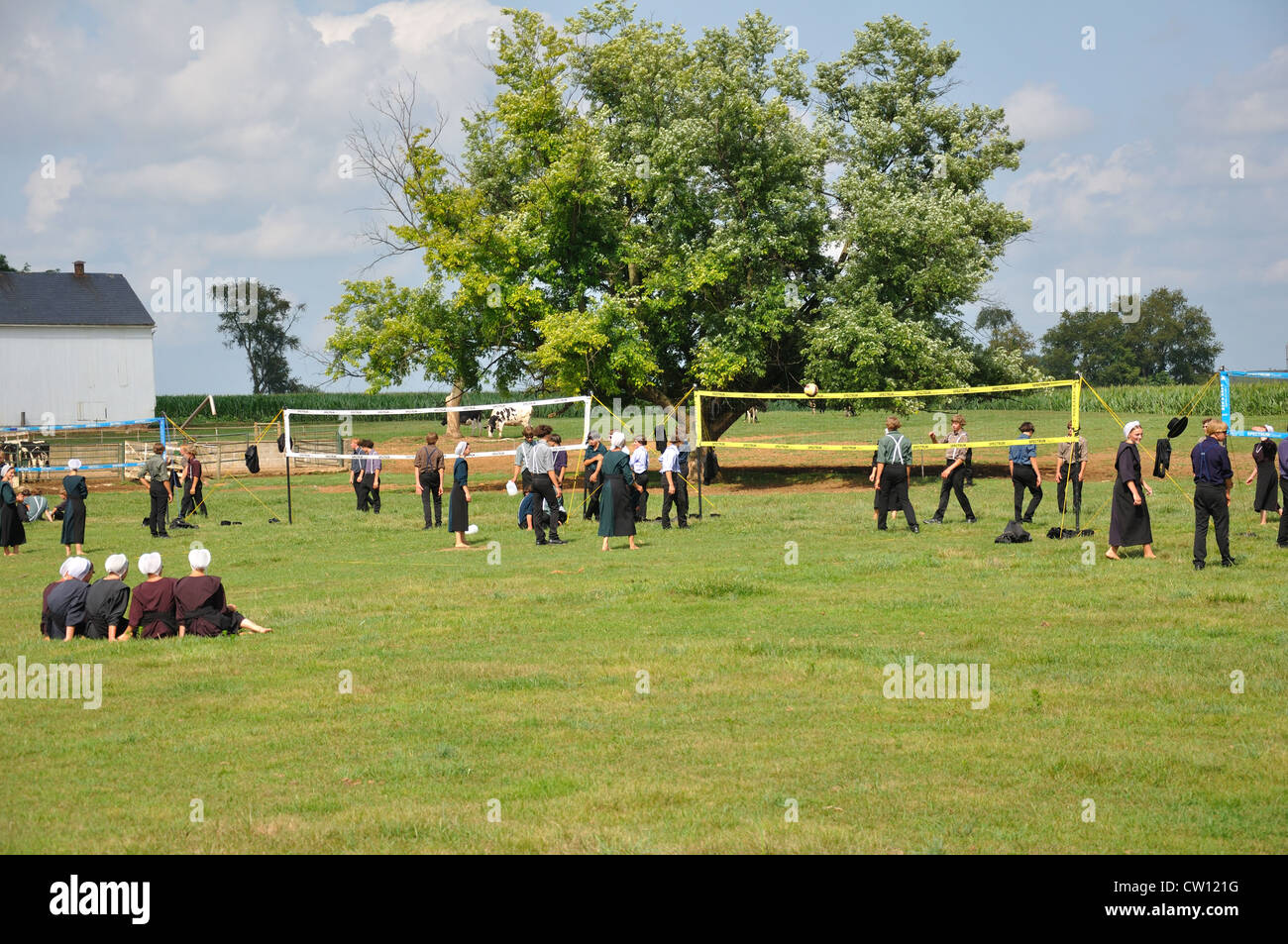 Amish youth activity on Sunday, Amish Country, Pennsylvania, USA ...