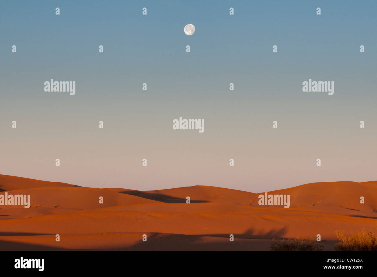 Full moon over sand dunes hi-res stock photography and images - Alamy