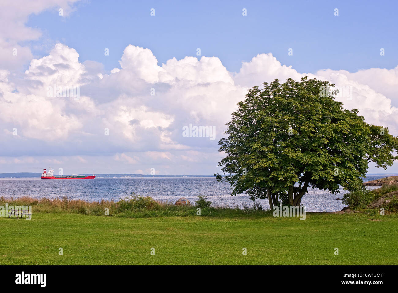 Shipping a tree hi-res stock photography and images - Alamy