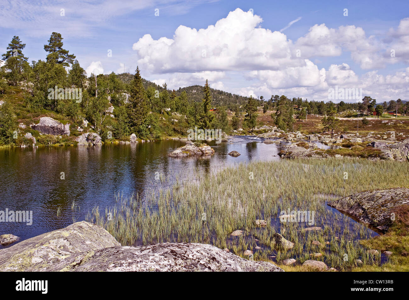 Dimple trees hi-res stock photography and images - Alamy
