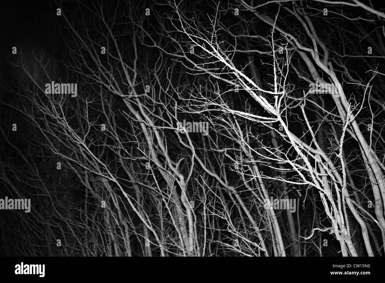 Night spooky hi-res stock photography and images - Alamy