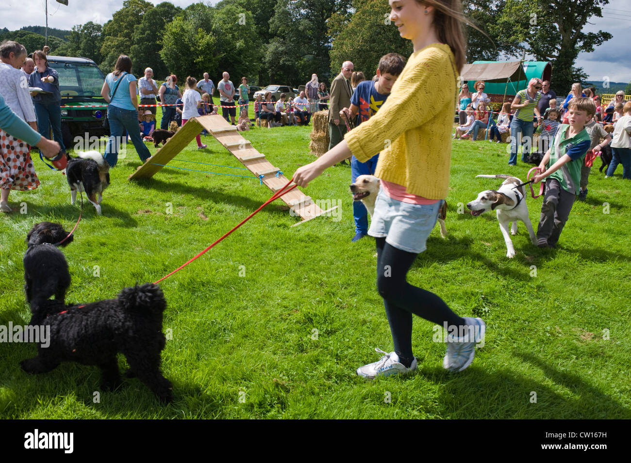 Dog show at fete on Scarecrow Day in village of Brampton Bryan ...
