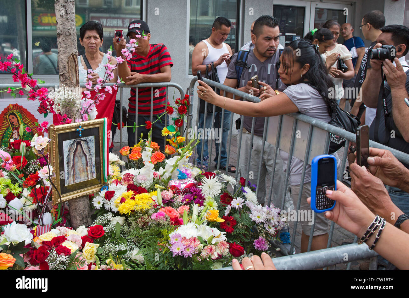 A knot on a tree trunk, which many view as a miracle depicting the ...