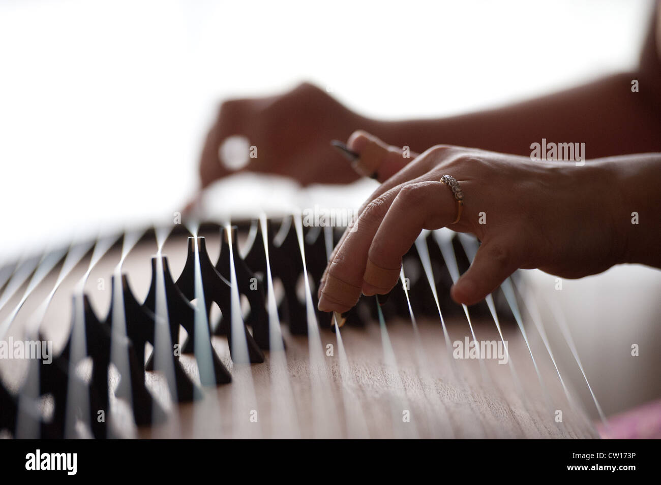 Musician playing traditional Chinese Guzheng Stock Photo - Alamy