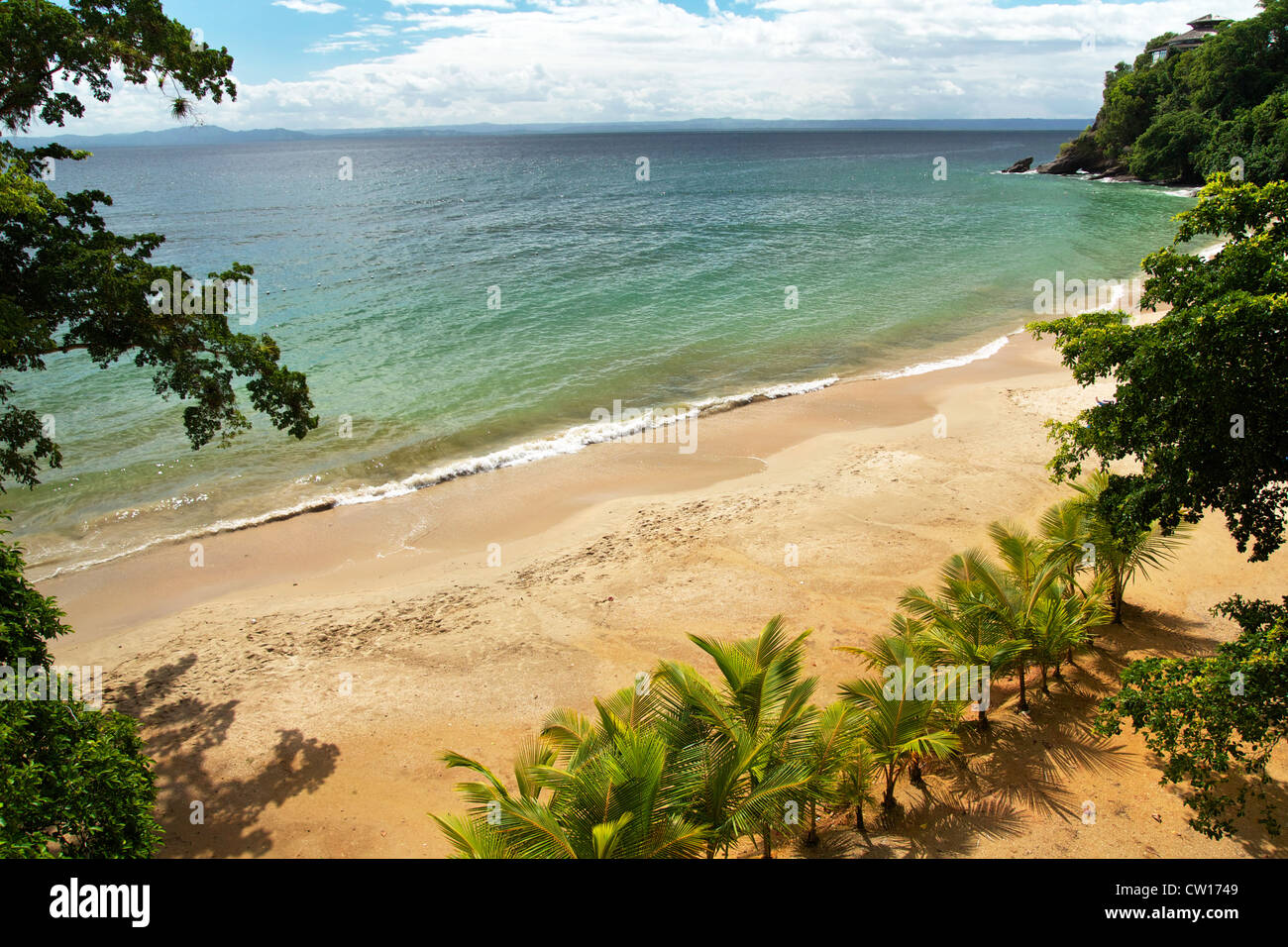 Samana resort beach, Dominican Republic Stock Photo - Alamy