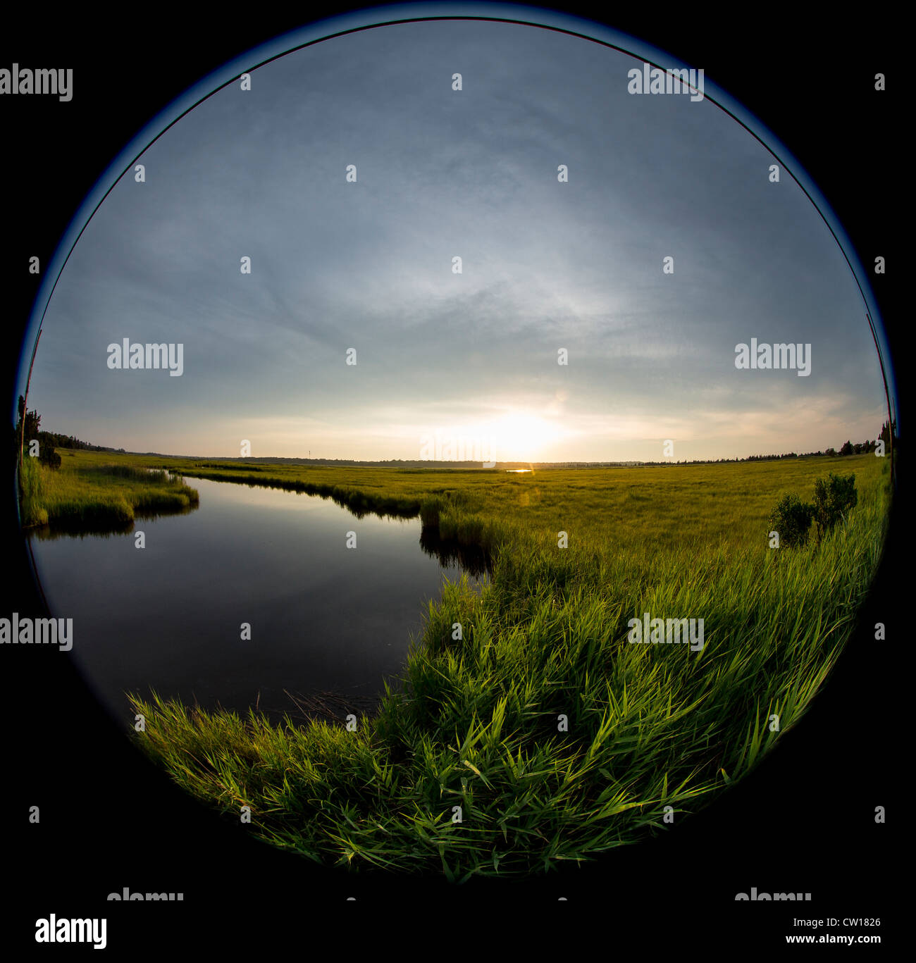 Mars marsh hi-res stock photography and images - Alamy