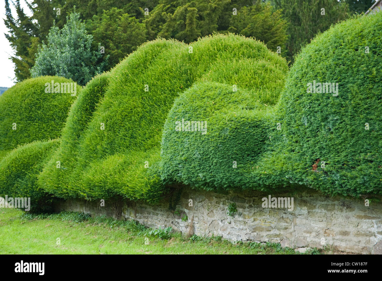 Unusual shape hedges hi-res stock photography and images - Alamy