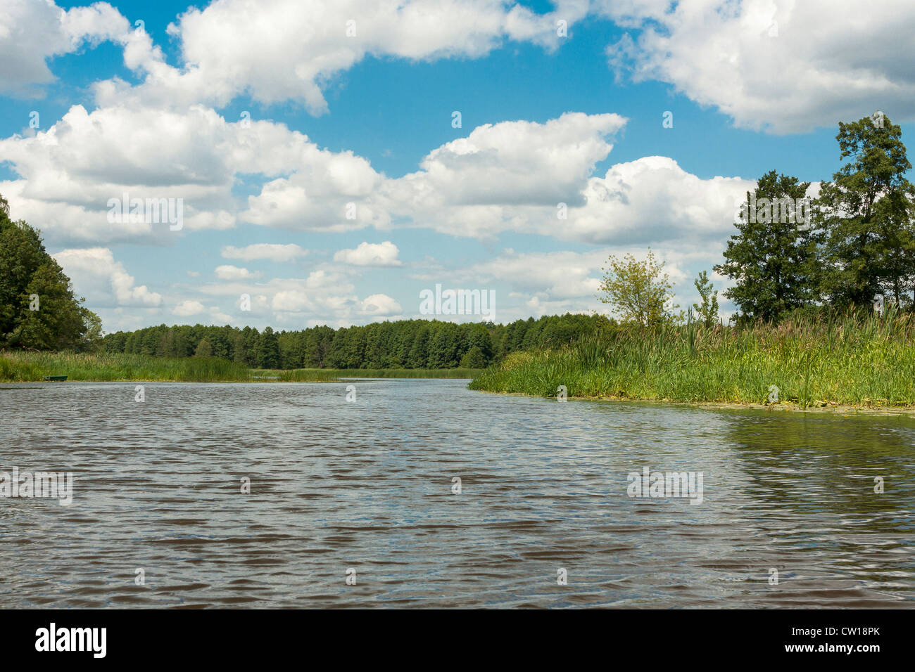 Narew river, Poland Stock Photo - Alamy