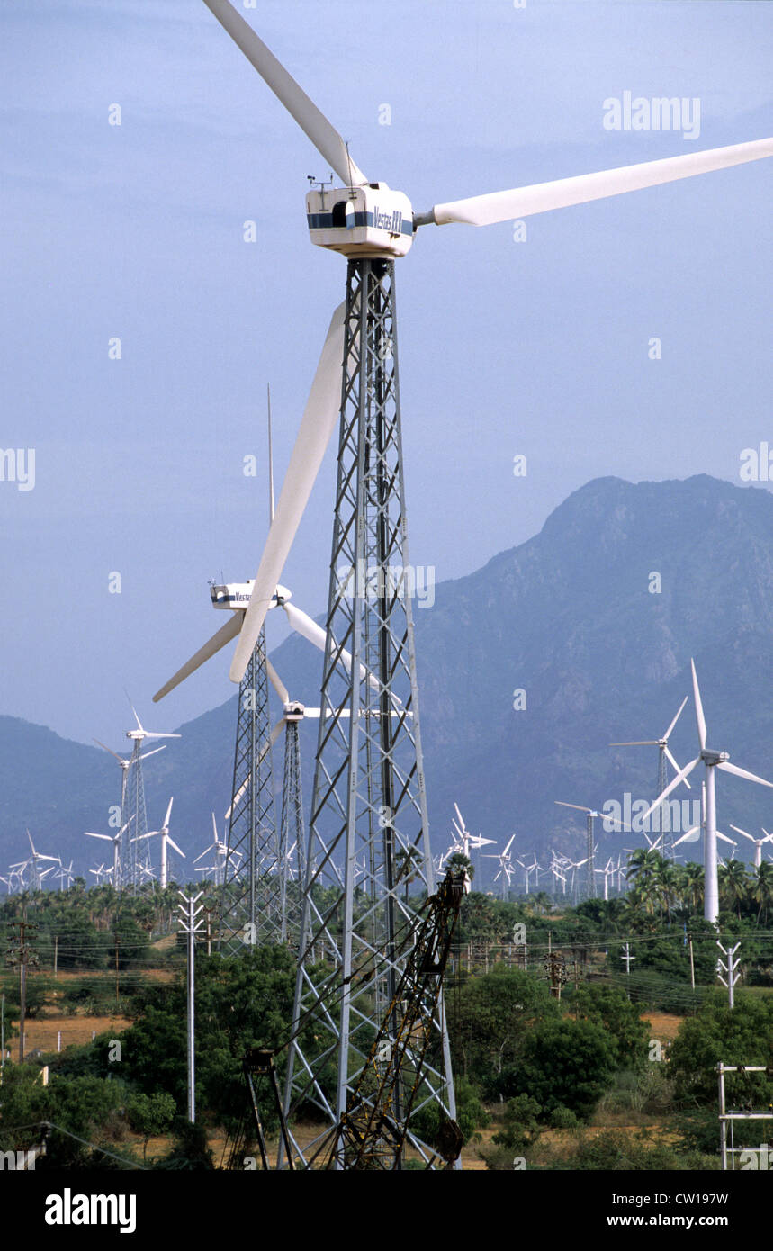 INDIA Tamil Nadu Kannyakumari Cape Comorin , windfarm with large wind ...