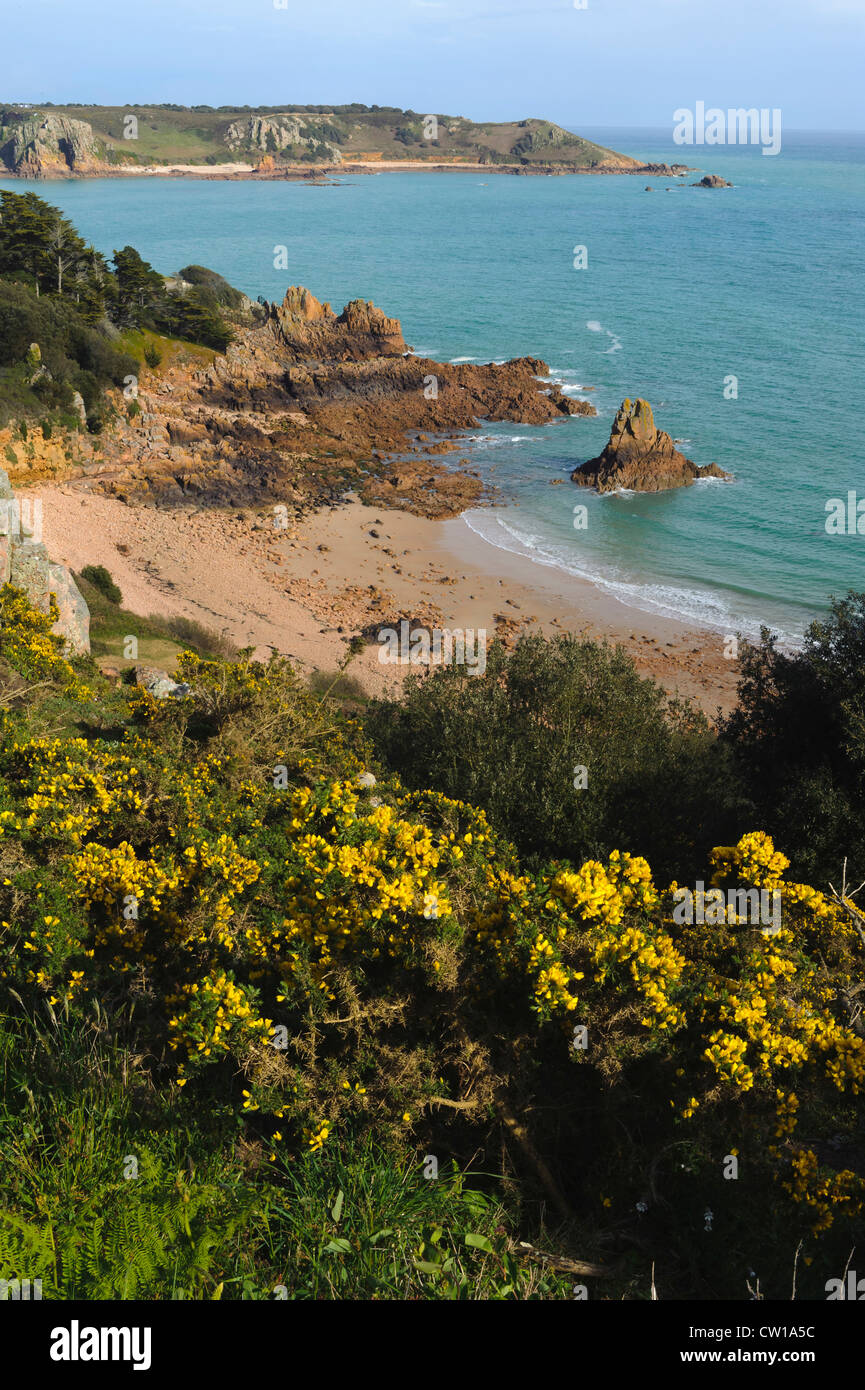 Beauport Beach, Isle of Jersey, Channel Islands Stock Photo - Alamy