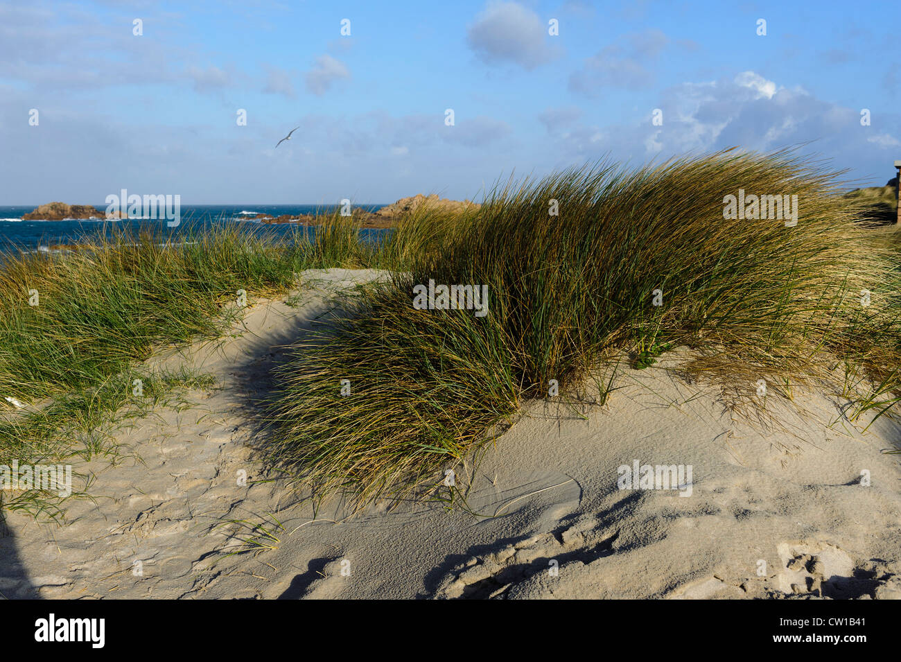 Saline Bay,beach near Grand Roques, Isle of Guernsey, Channel Islands ...