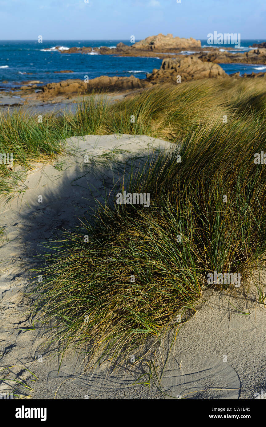 Saline Bay,beach near Grand Roques, Isle of Guernsey, Channel Islands ...