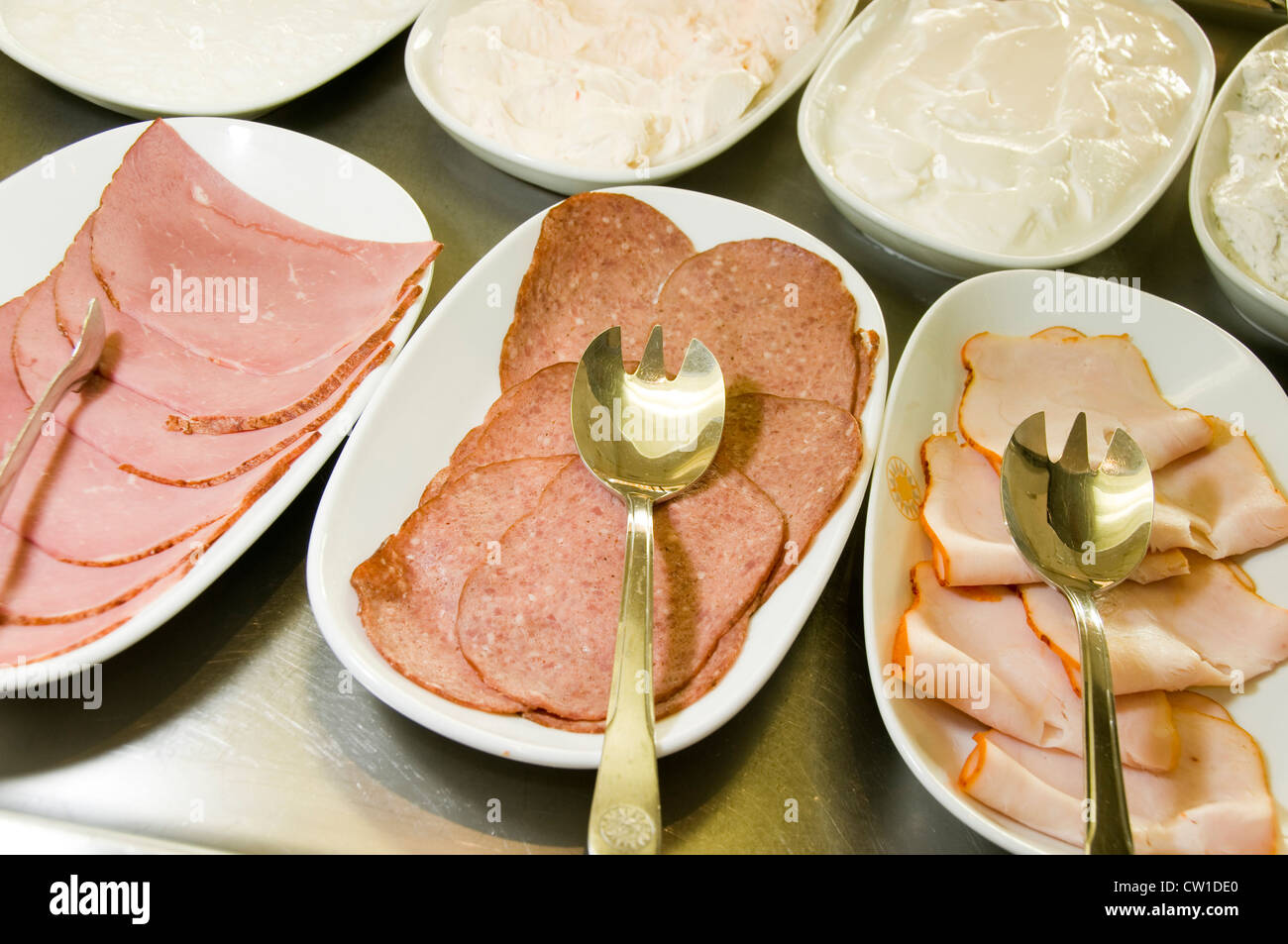 buffet platter salami turkey ham and cheese humus tehini photographed ...