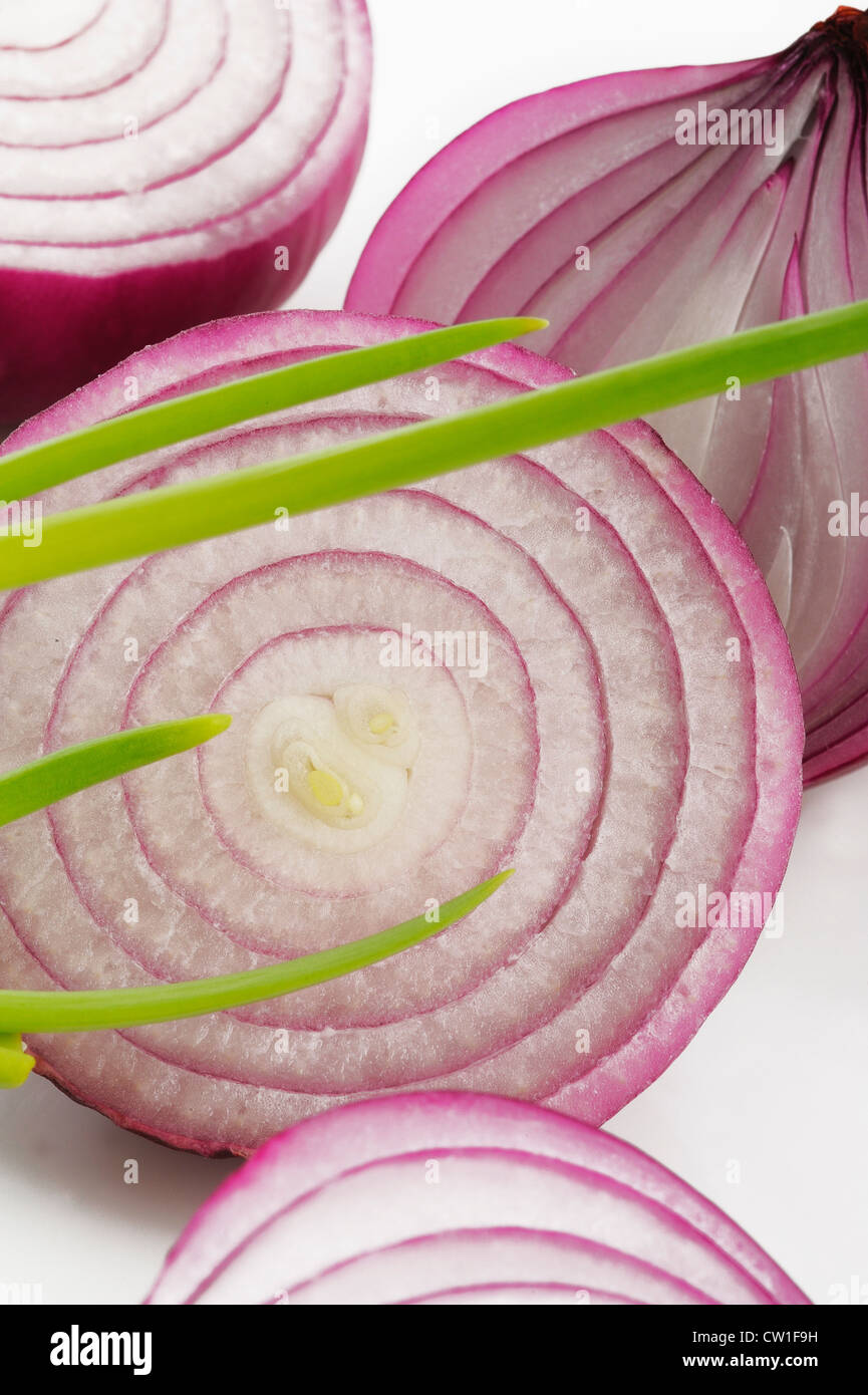 Red sliced onion Stock Photo - Alamy