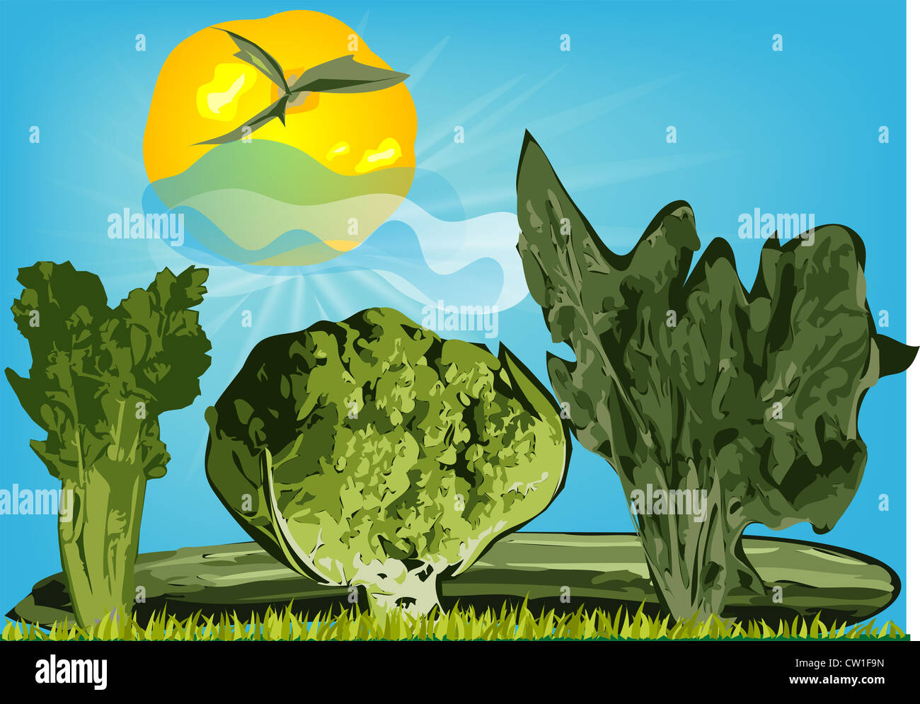 Stylized vegetable painting hi-res stock photography and images - Alamy
