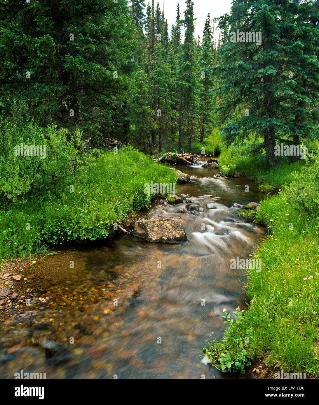 The westfork of the Little Colorado River is a river in the U.S. state ...