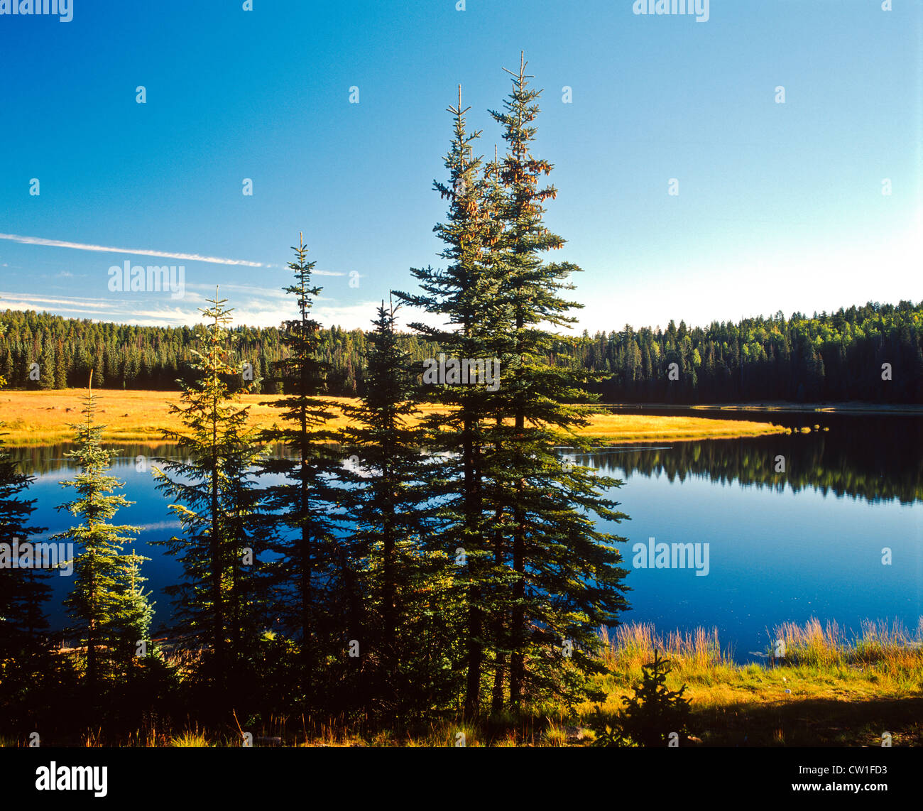 White Mountain Apache Reservation High Resolution Stock Photography and ...