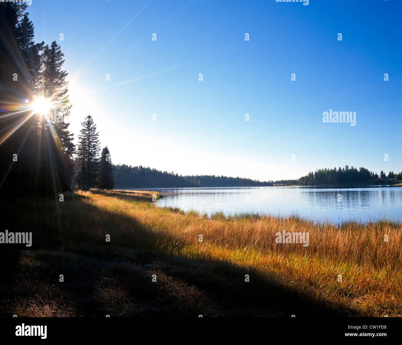 White mountain apache reservation hi-res stock photography and images ...