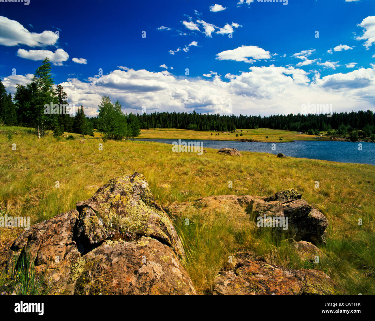 Big Lake, White Mountains of Eastern Arizona. USA Stock Photo - Alamy